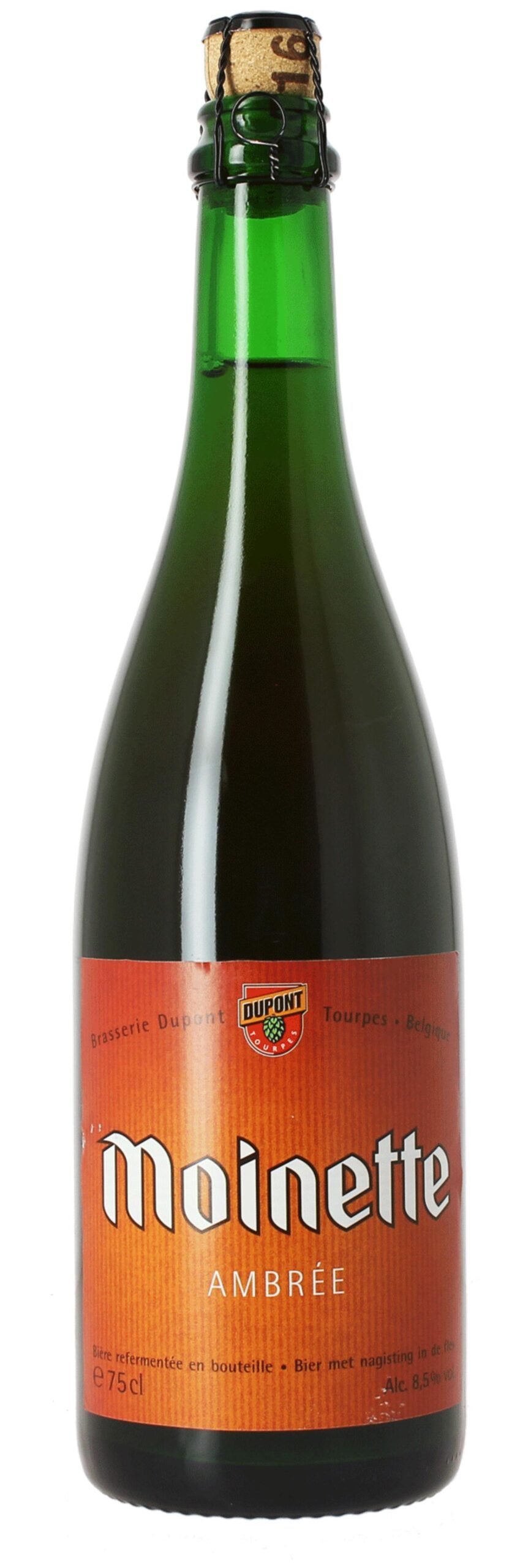 Moinette Ambrée | Craft & Draft